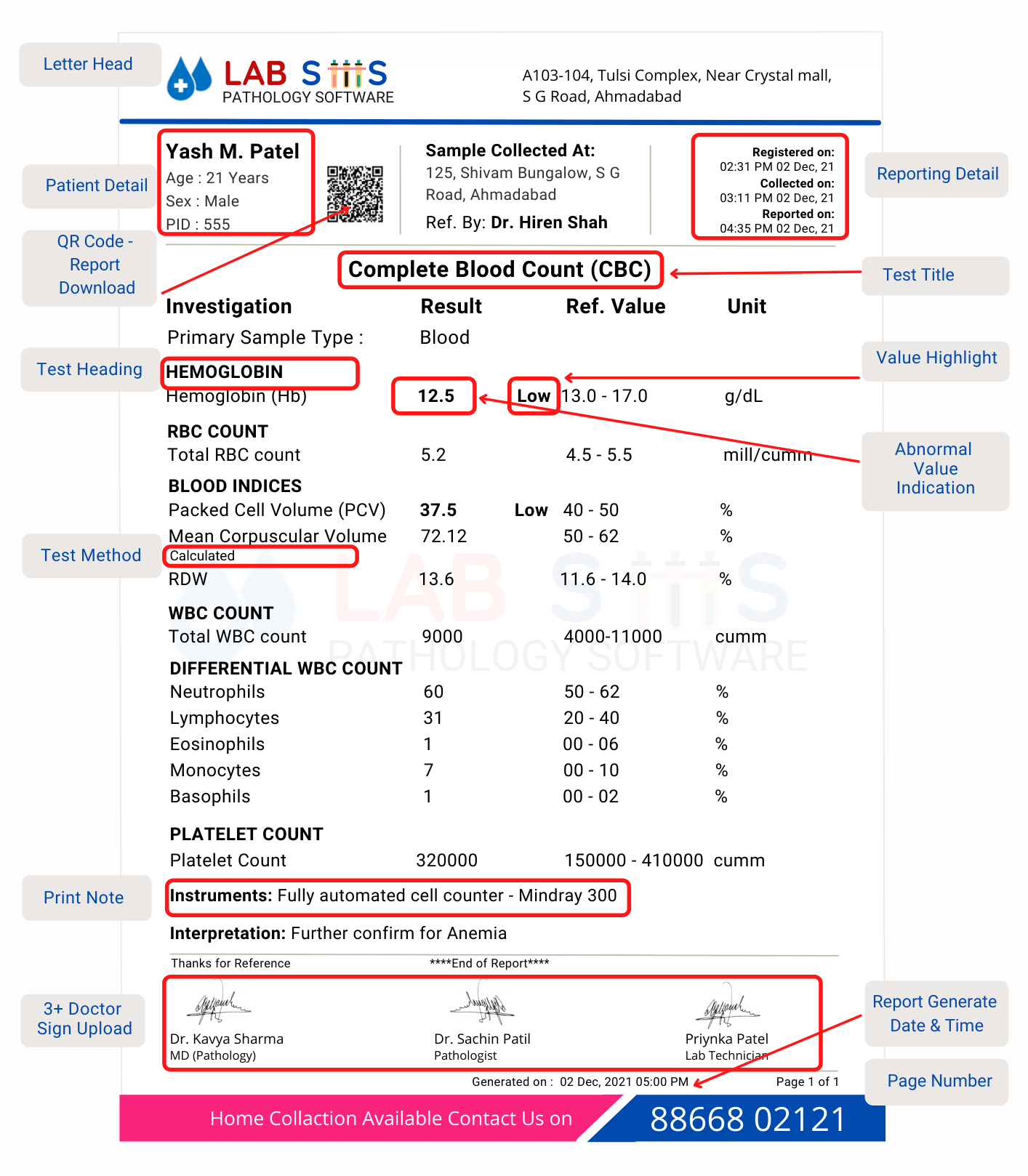 Pathology Report
